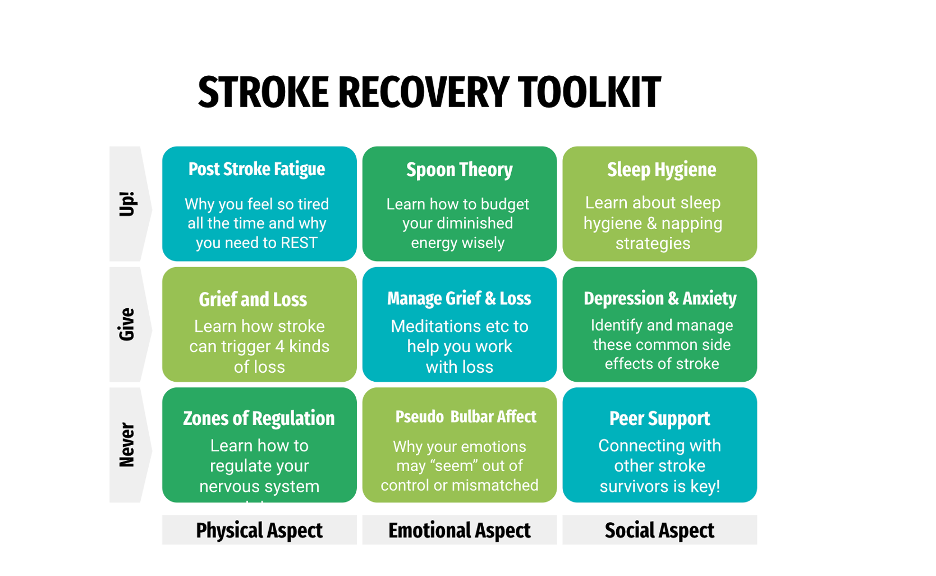 Stroke Recovery Toolkit The First 6 Months Are VERY Important Stroke Recovery Toolkit The First 6 Months Are VERY Important